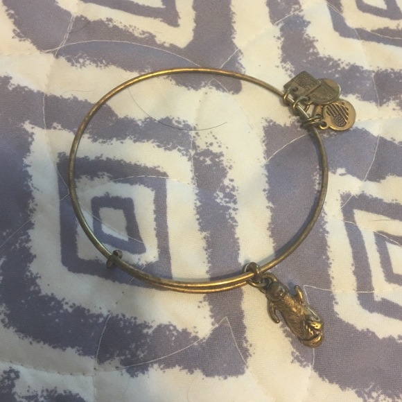 Alex and Ani | Jewelry | Alex And Ani Otter | Poshmark